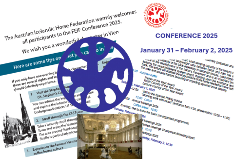 FEIF Conference 2025 | FEIF